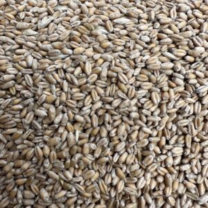 Deer Corn - Bagged Solutions, LLC